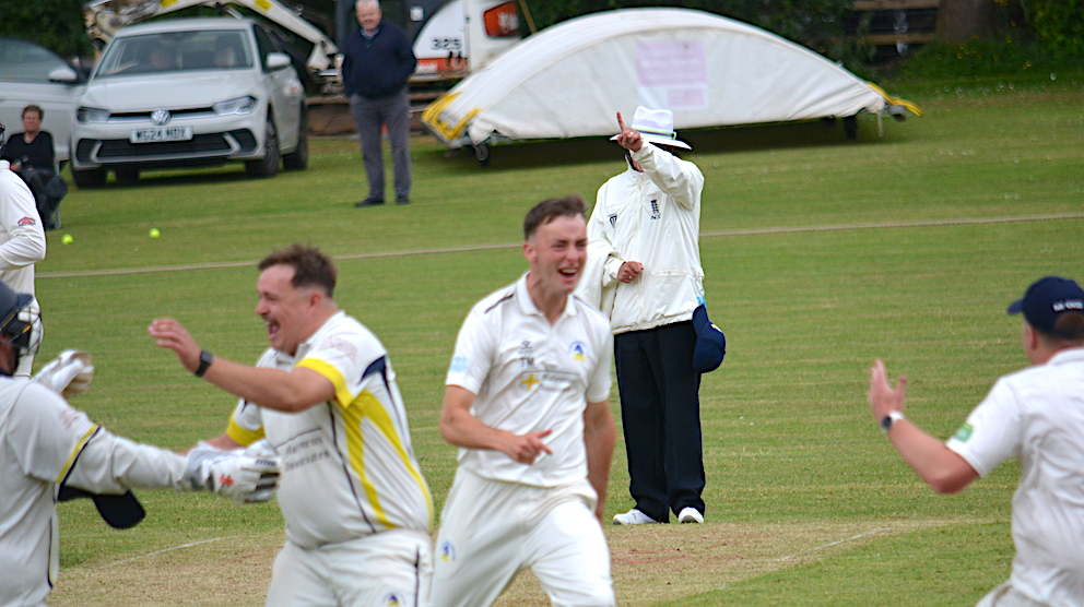 Tolchards Devon Cricket League - Devon Cricket